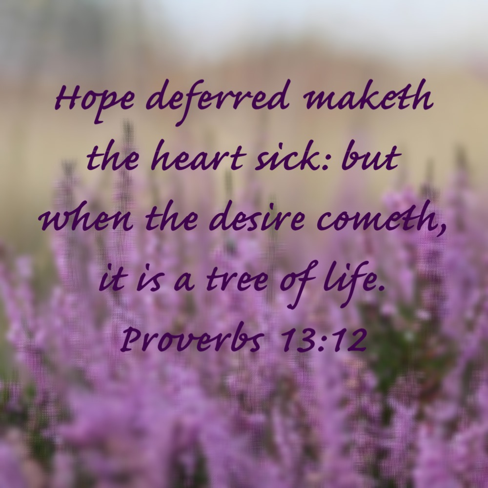 Proverbs 13:12 – If anyone knows Melissa…