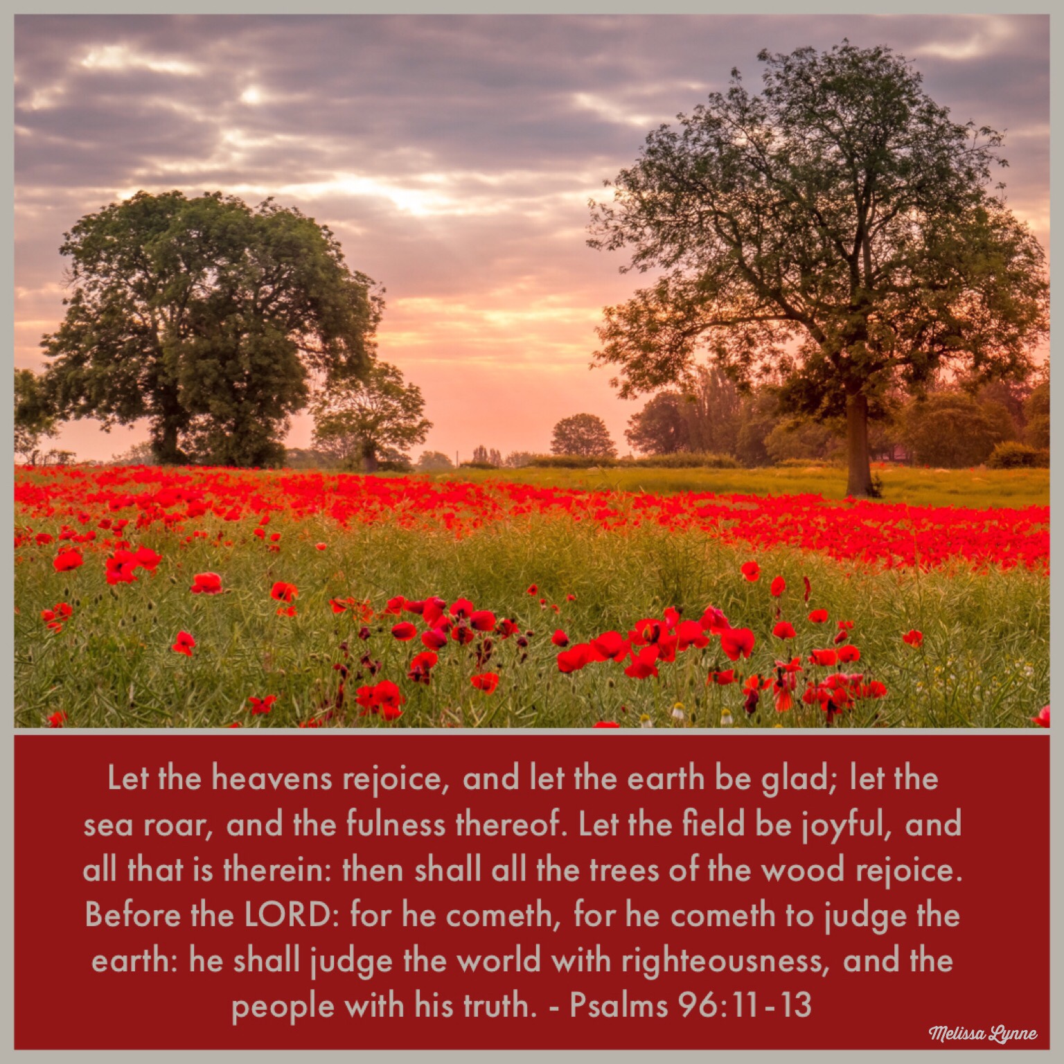 The Fields are Joyful, and the Trees Rejoice – If anyone knows Melissa…