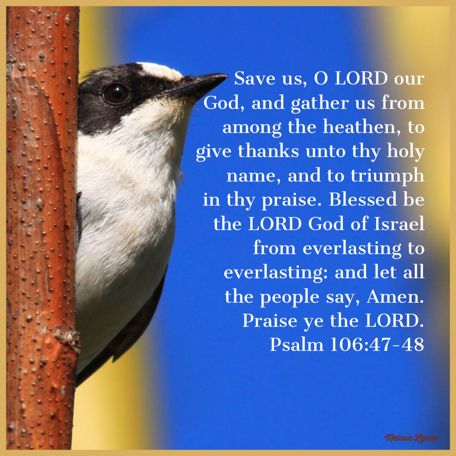 To Give Thanks Unto Thy Holy Name, To Triumph in Thy Praise – If anyone ...