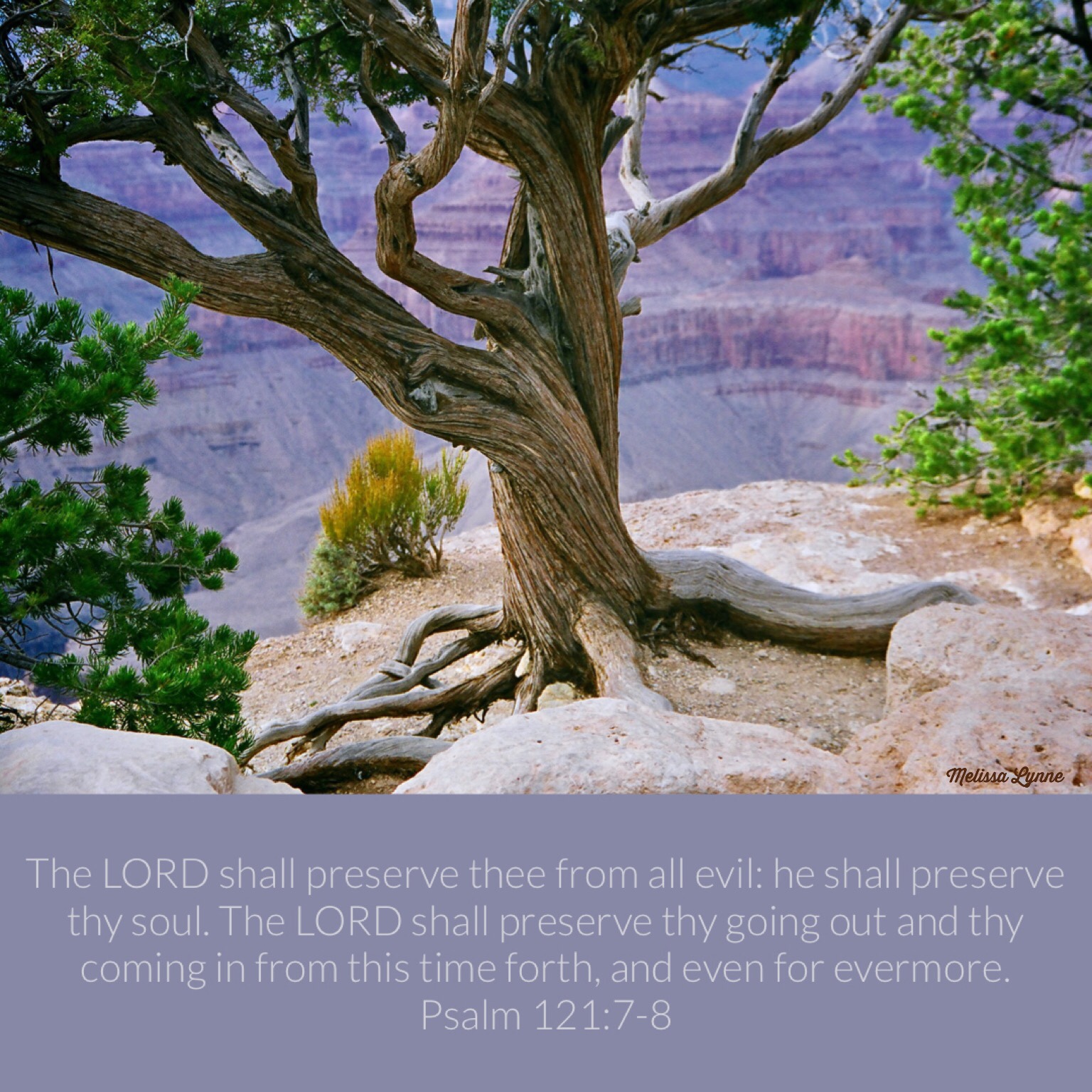 The Lord Shall Preserve Thee – If anyone knows Melissa…