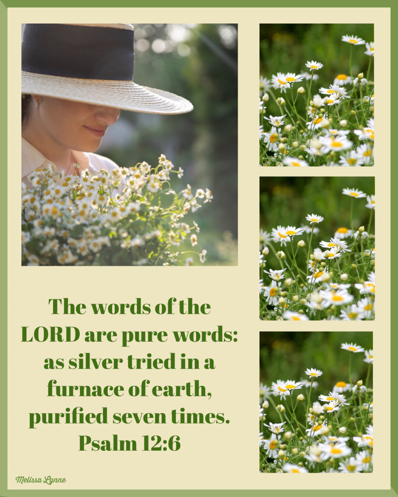 The Words of the LORD are Pure Words – If anyone knows Melissa…