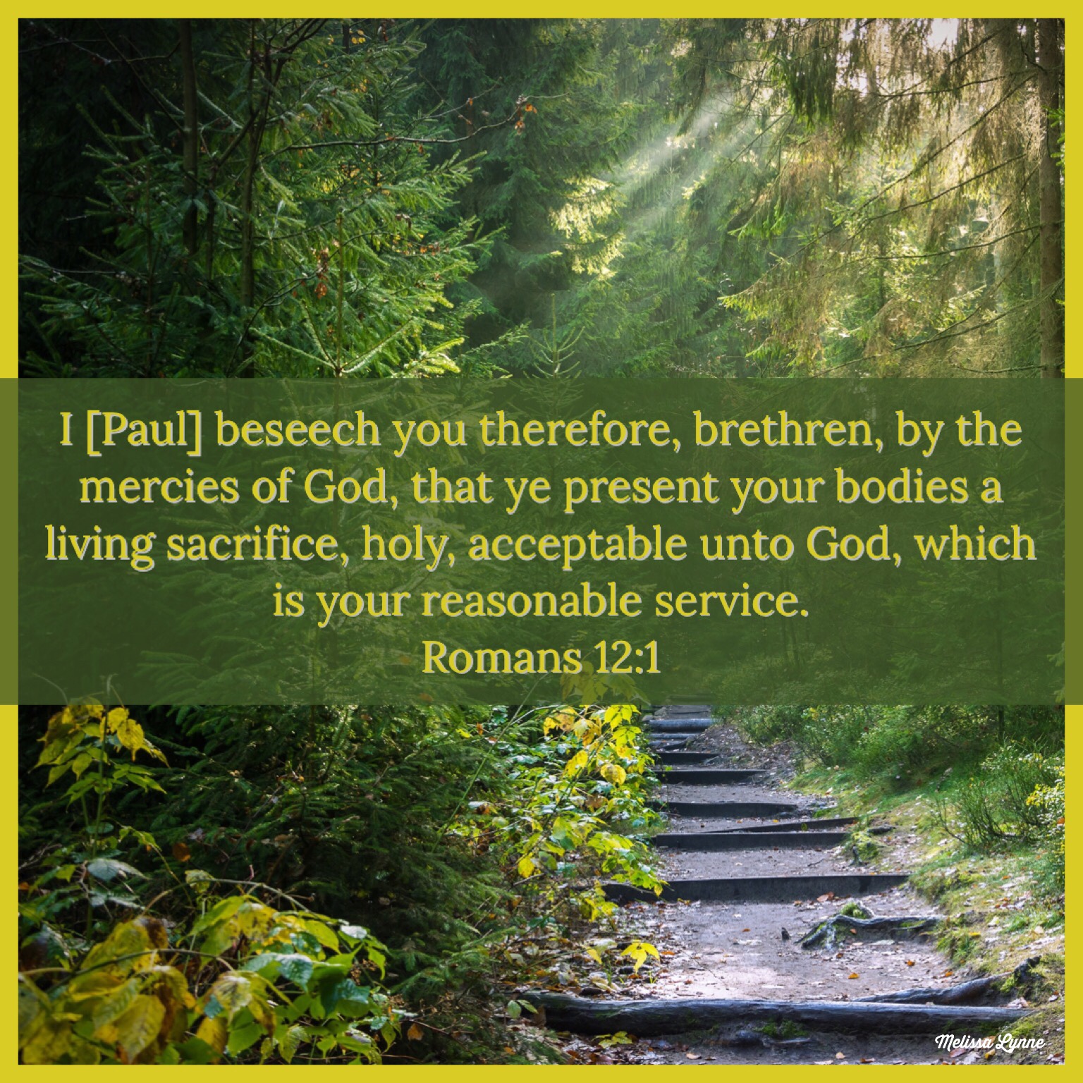 Your Reasonable Service – If anyone knows Melissa…