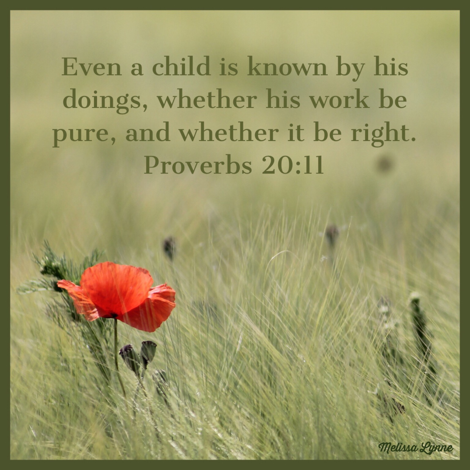 Even a Child is Known By His Doing – If anyone knows Melissa…
