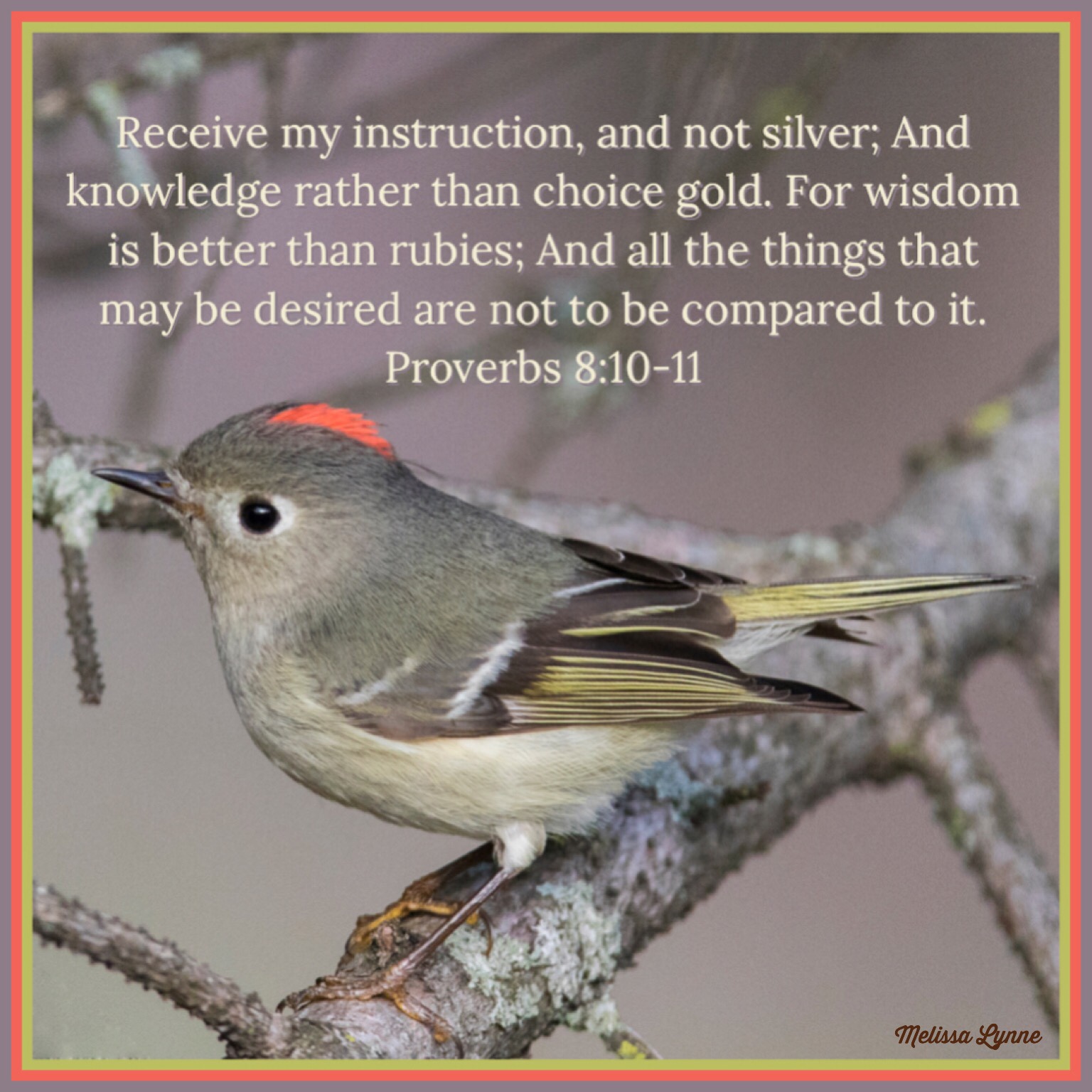 Wisdom is Better than Rubies – If anyone knows Melissa…