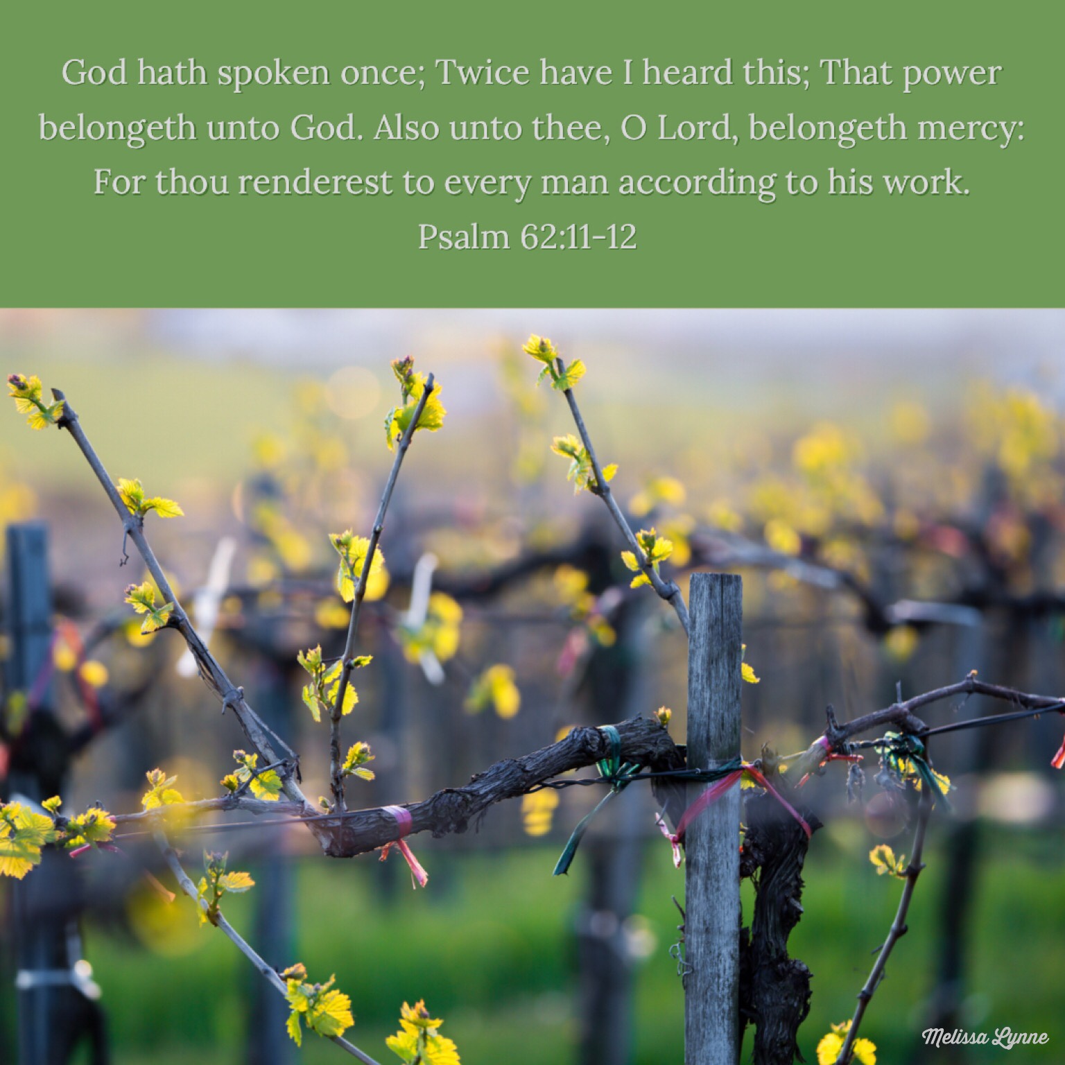 God Hath Spoken Once; Twice Have I Heard – If anyone knows Melissa…