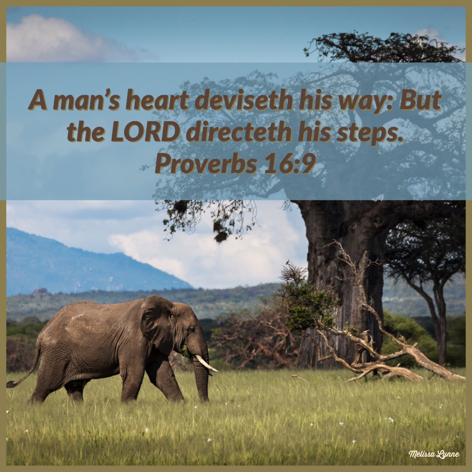 The LORD Directeth His Steps – If anyone knows Melissa…