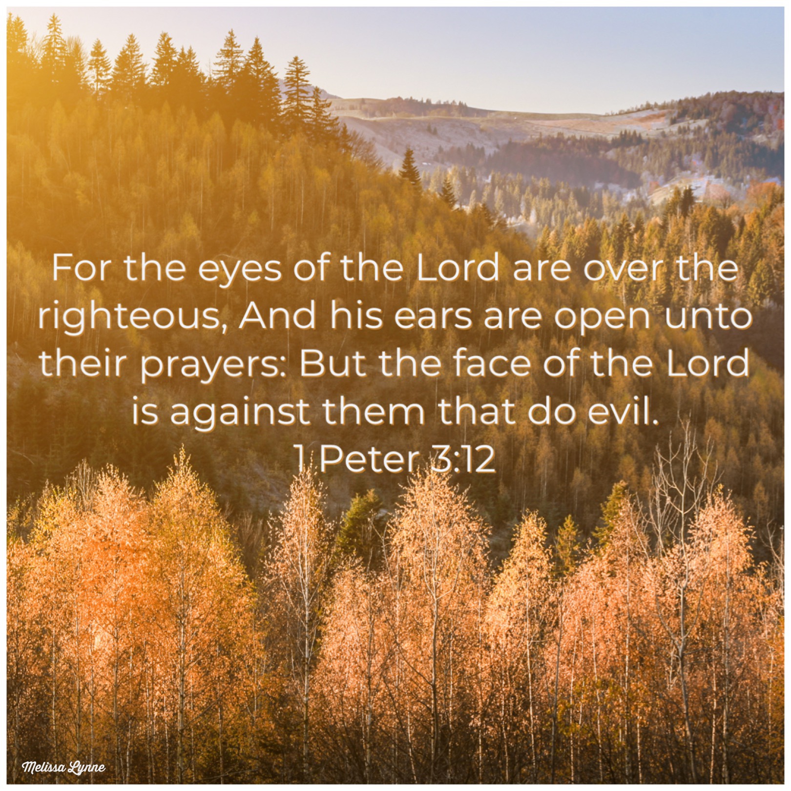 The Face of the Lord is Against Them that Do Evil – If anyone knows ...