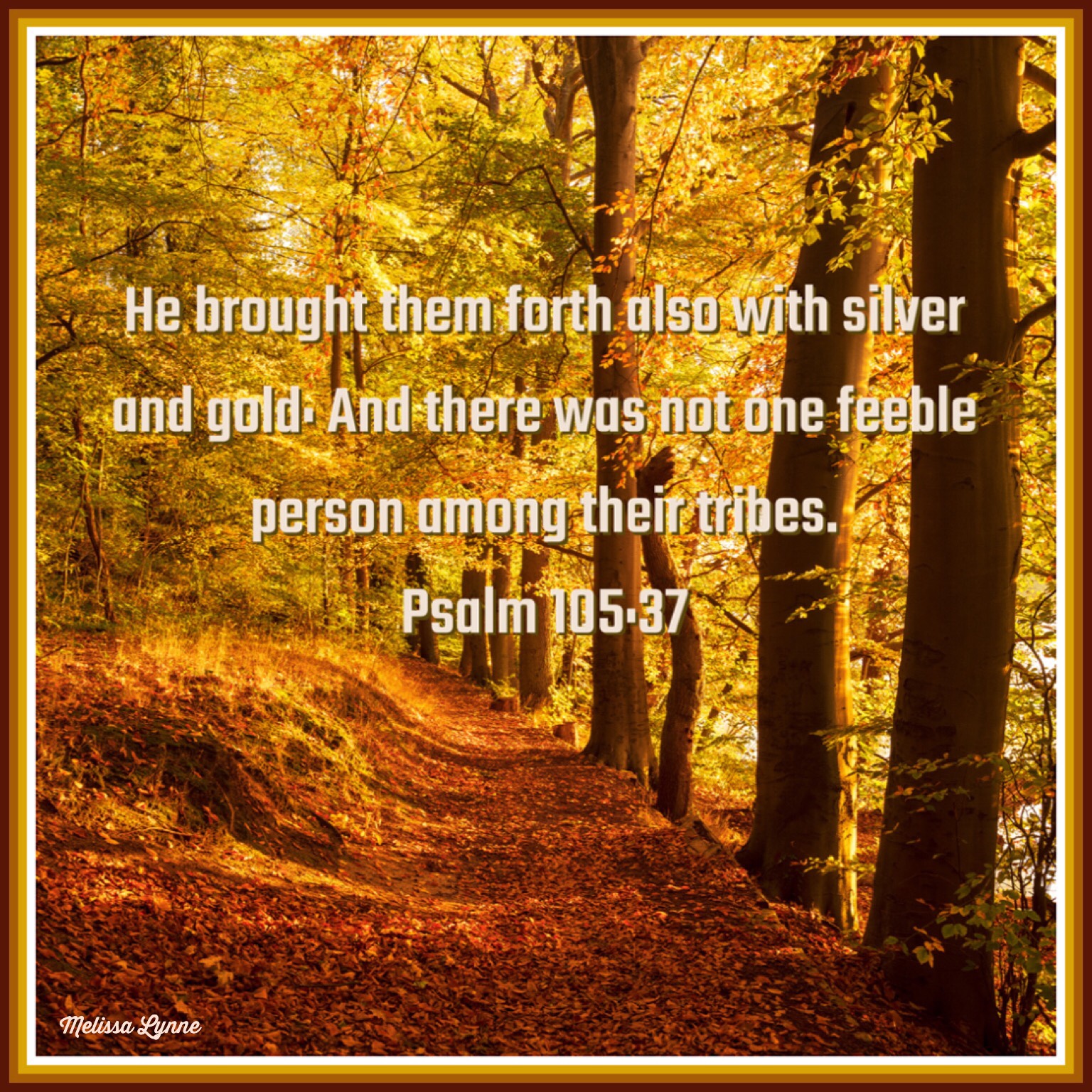 There was Not One Feeble Among Their Tribes – If anyone knows Melissa…