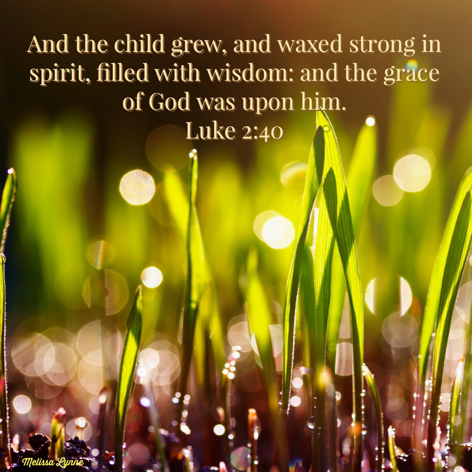 Strong in Spirit, Filled with Wisdom – If anyone knows Melissa…