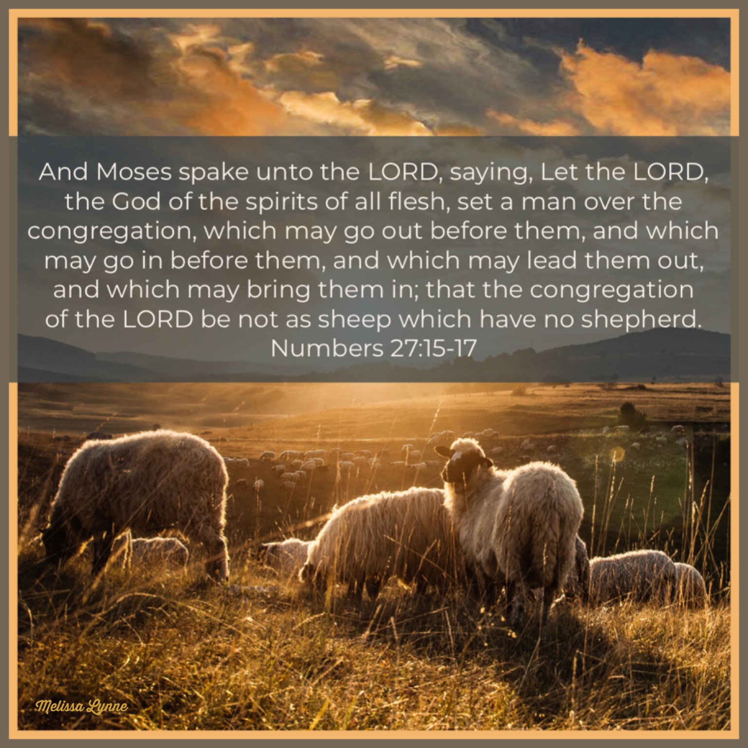 Let the LORD Set A Man Over the Congregation – If anyone knows Melissa…