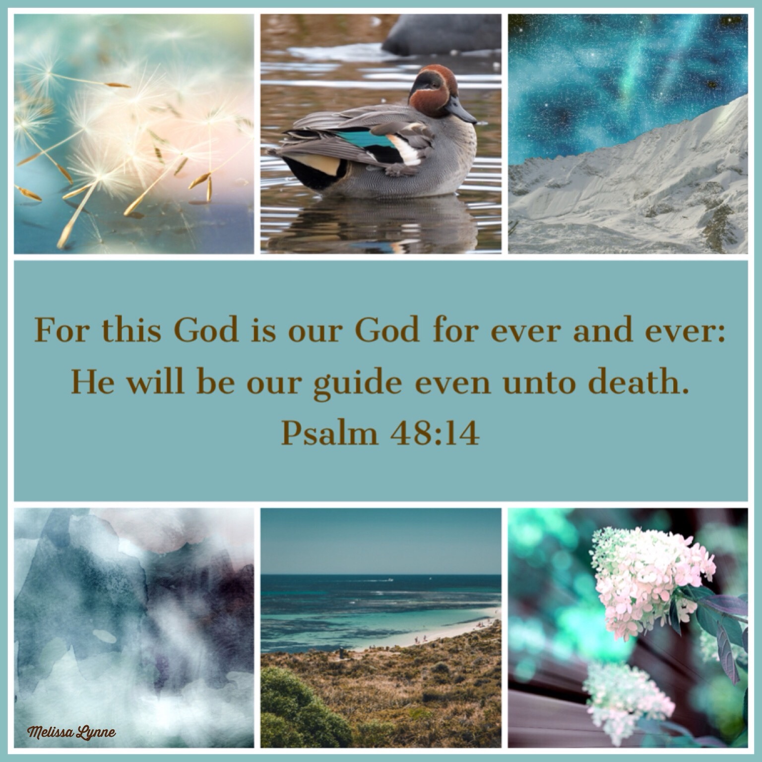 He Will Be Our Guide Even Unto Death – If anyone knows Melissa…