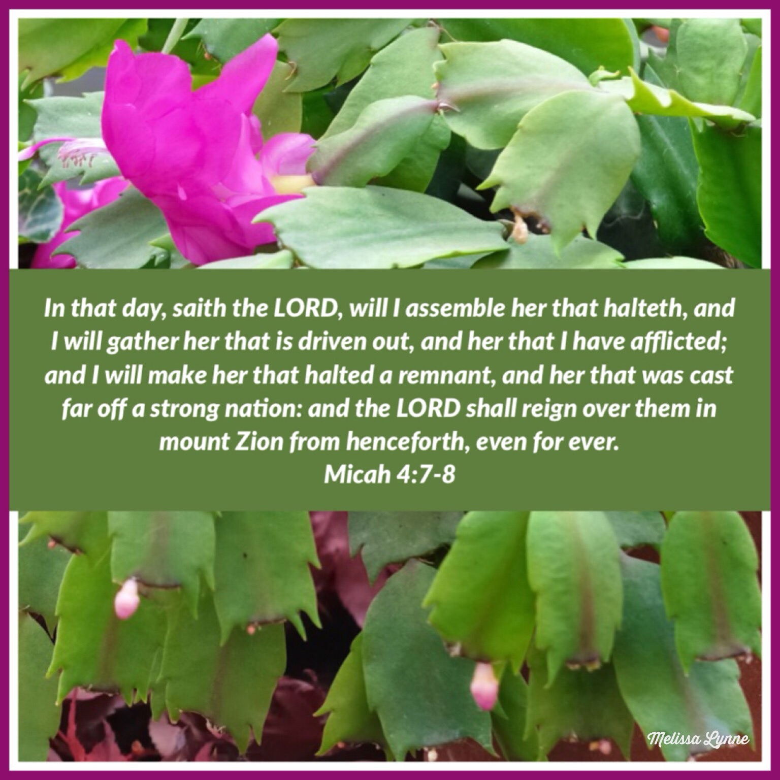 The LORD Shall Reign Over Them in Mount Zion – If anyone knows Melissa…