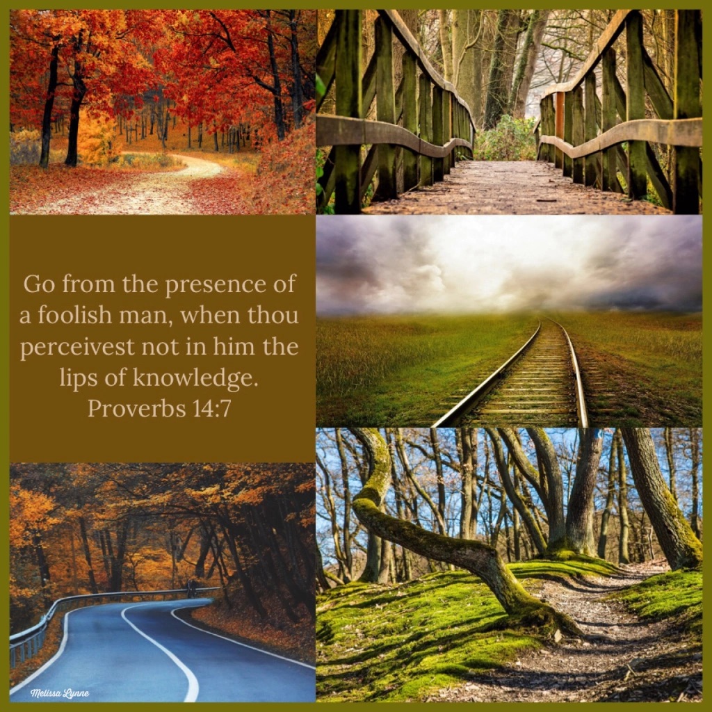 Go from the Presence of a Foolish Man – If anyone knows Melissa…